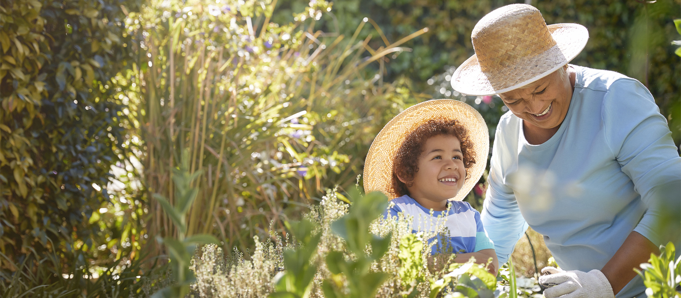 Blue MedicareRx Sustains High Rating | BlueCross BlueShield of Vermont